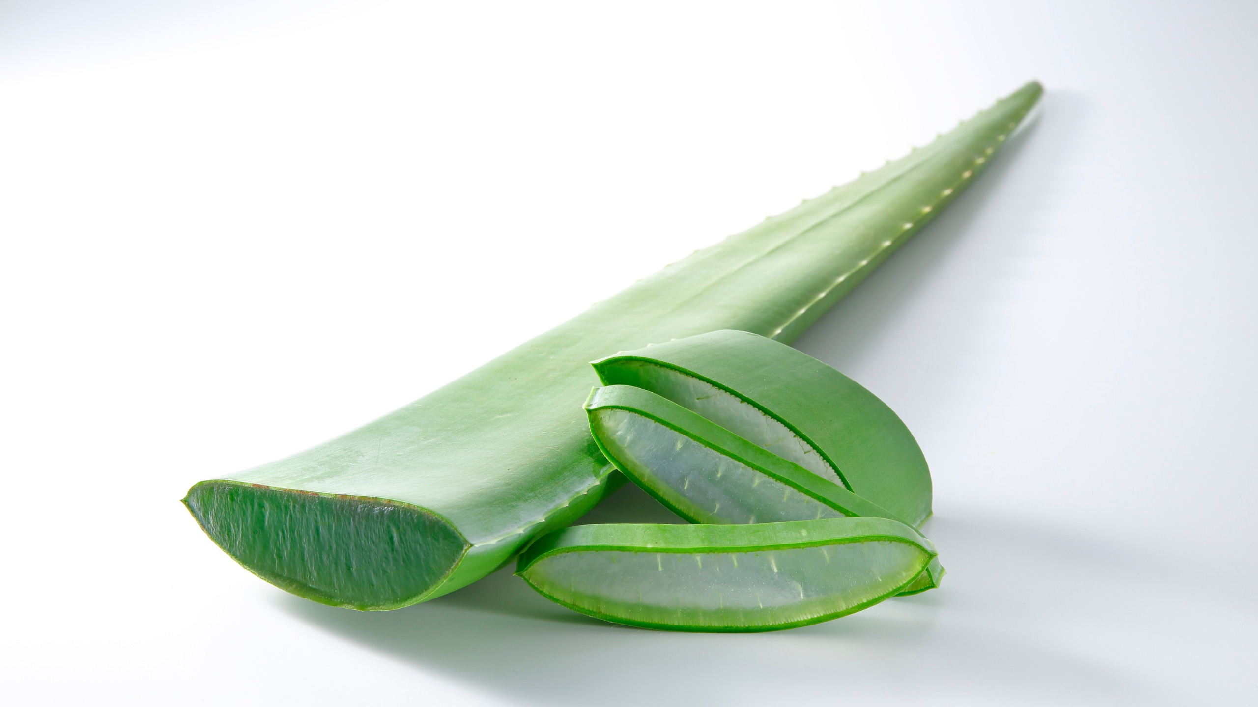 Aloe Vera for Skin: The Complete Healing Guide for Acne, Burns, and Ra ...